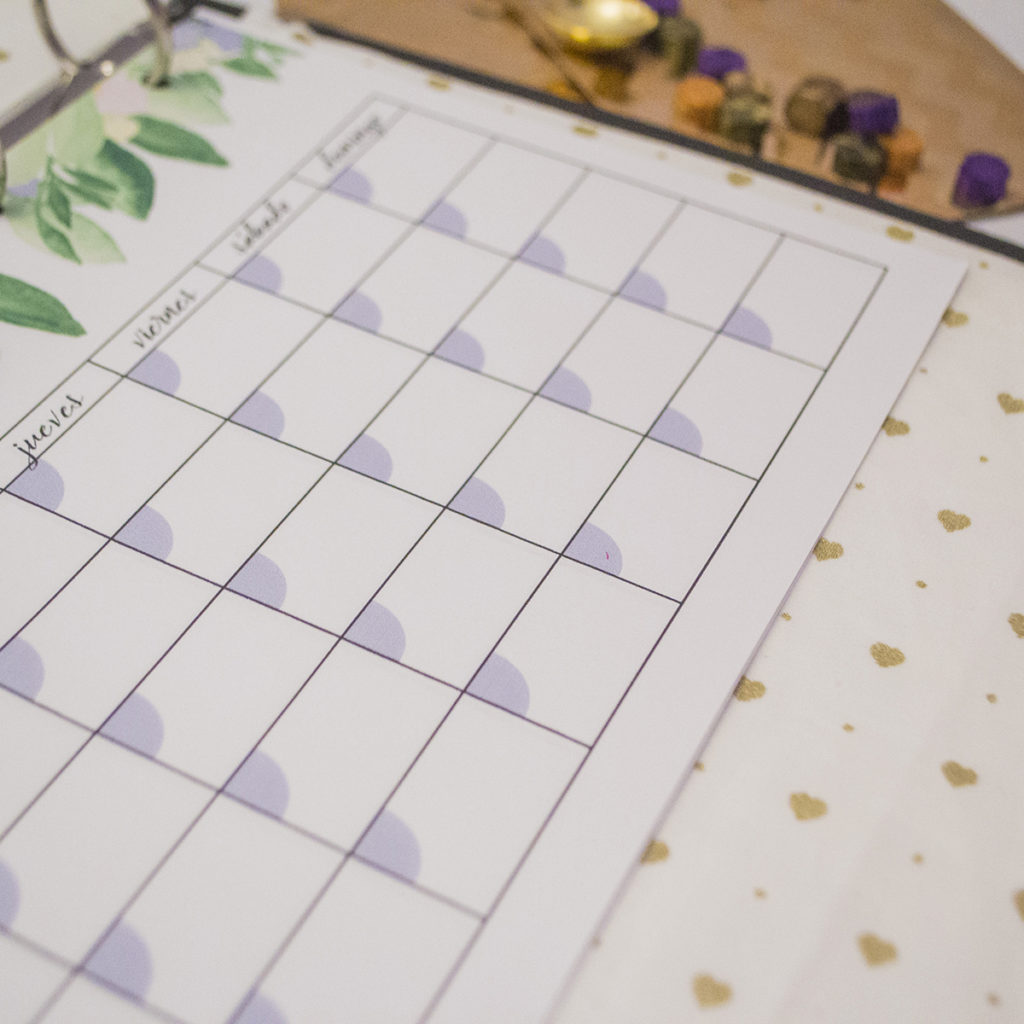 Miss Tus - Planner mensual a mes vista